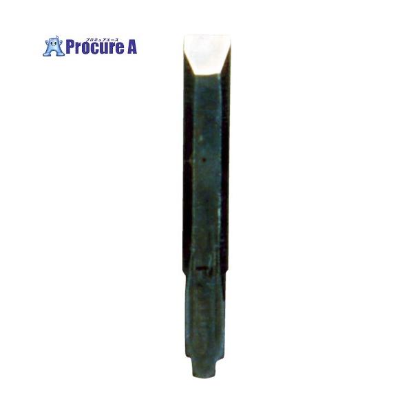 ●適合機種：HCT-30A、HCT-30S、HCT-30Z、HMA-100A、HMA-100B、HMA-100BE、HCT-30C●刃幅(mm)：6●全長(mm)：45●形状：平●主用途：木彫刻・はく離・削り●内容：1本入・質量9g