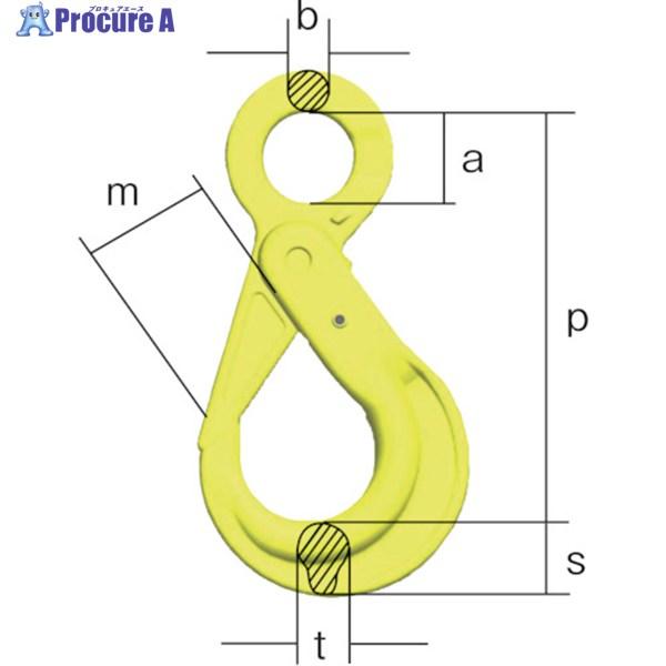 ●基本使用荷重(t)：1.2●適合チェーン線径(mm)：6●寸法(mm)P：109●寸法(mm)a：22●寸法(mm)b：10●寸法(mm)m：29●寸法(mm)p：109●寸法(mm)s：21●寸法(mm)t：15●破断荷重(kN)：59