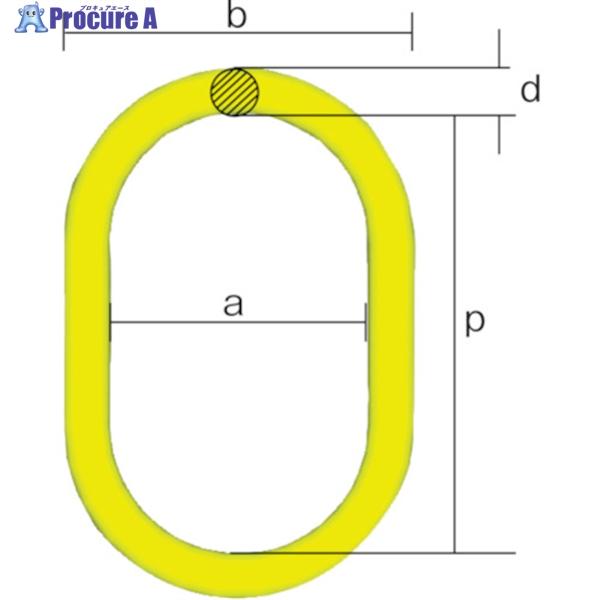 ●基本使用荷重(t)：5.0●適合チェーン線径(mm)1本吊：13●適合チェーン線径(mm)2本吊：10●タイプ：重量物向き●寸法(mm)D：19●寸法(mm)P：160●寸法(mm)a：90●寸法(mm)b：128●寸法(mm)d：19●...