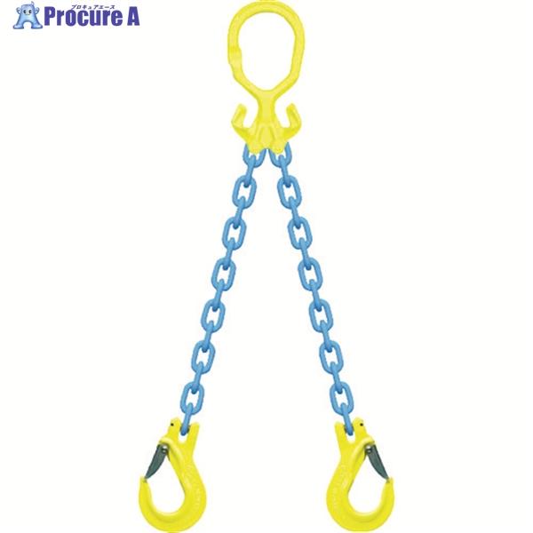 ●基本使用荷重(t)：1.5●チェーン線径(mm)：6●有効長l(m)：2.25●マスターリンク寸法(mm)a：60●マスターリンク寸法(mm)b：17●スリングフック寸法(mm)c：24.5●スリングフック寸法(mm)d：34●スリングフ...