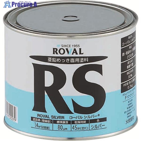●色：シルバー●容量(kg)：0.7●使用温度範囲(℃)：5℃以上●容器タイプ：塗料缶●亜鉛含有量(％)：83