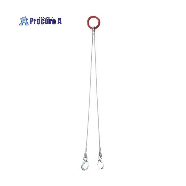 【送料都度見積】●全長(m)：1●スリング径(mm)：50●安全使用荷重2本吊り(t)：600●使用温度(℃)：100以下●リーチ(m)：1●基本使用荷重(t)：600●ワイヤ径(mm)：6