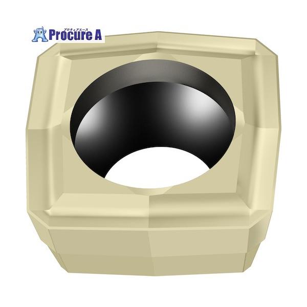 【送料都度見積】