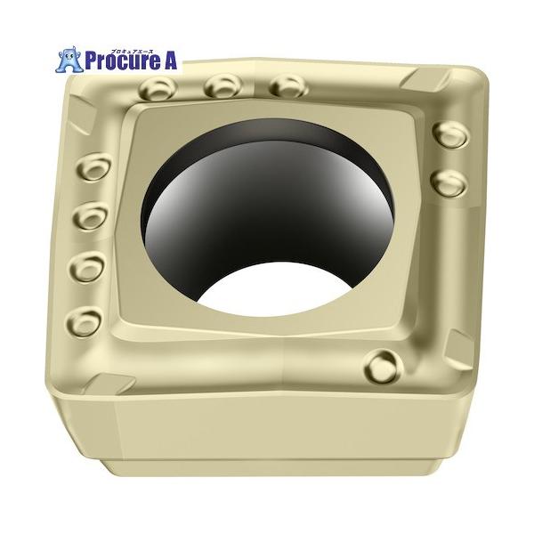 【送料都度見積】