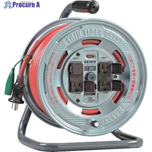 ●電線仕様長さ(m)：30●電線仕様太さ(［［ＭＭ２］］)：2.0●電線仕様芯数(C)：3●定格電流(A)：6●コンセント仕様定格：2P・15A・125V アース付●コンセント仕様形状：［［三相１］］●コンセント仕様個数：4●電線種：VCT...