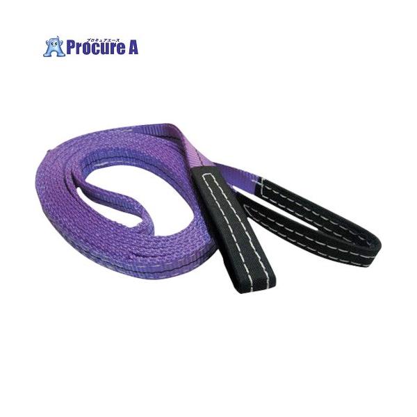 ※個人宅様送り不可 ●色：紫・形状：両アイ・使用荷重(kg)：800・破断荷重(kg)：4000・ベルトサイズ：幅25mm×長さ0.8m・最大使用荷重：ストレート吊800kg、チョーク吊640kg・安全係数：5（最大使用荷重×5＝破断荷重）...