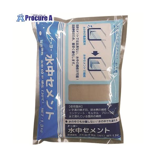 【送料都度見積】●色：灰色●容量(kg)：1.3●硬化時間：水中60分（20℃）●施工面積：30cm×30cm(1cm厚)