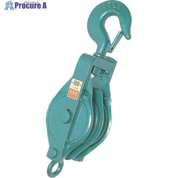 ●基本使用荷重(t)：1●最大使用ロープ径(mm)：12●車数：2●車径(mm)：100●寸法(mm)A：345●寸法(mm)B：112●寸法(mm)C：79●頭部形状：フック型●タイプ：二車タイプ●使用荷重(kg)：1000