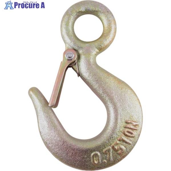 ●基本使用荷重(t)：0.75●寸法(mm)C：23●寸法(mm)D：19●寸法(mm)H：110●寸法(mm)L：72