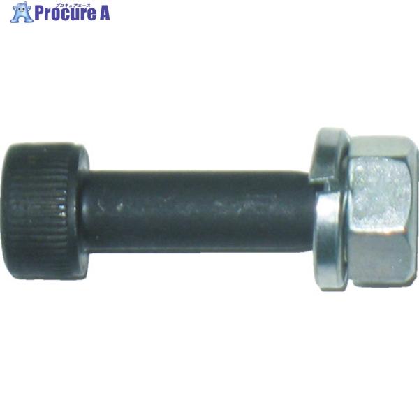 ●品名：チェーンボルトナット●適合機種：TLH-100●定格荷重(t)：1.0