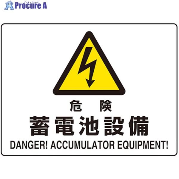 ●表示内容：危険 蓄電池設備 DANGER! ACCUMULATOR EQUIPMENT!●取付仕様：マグネット固定●縦(mm)：225●横(mm)：300●厚さ(mm)：0.8