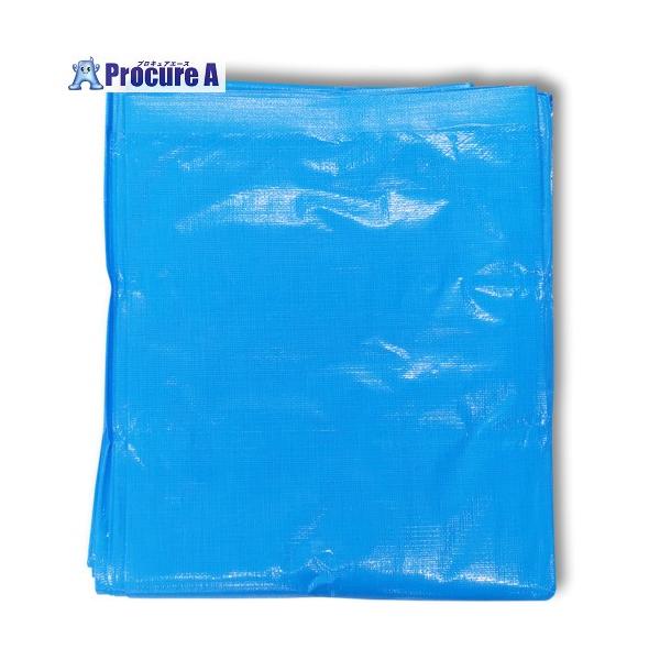 ●幅(m)：1.78●長さ(m)：2.62●厚さ(mm)：0.22●番手(#)：3000●ハトメ数(個)：10●ハトメピッチ(cm)：90●耐久期間：約2年●色：ブルー