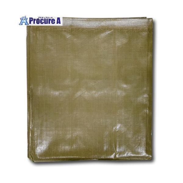 ●色：ODグリーン●幅(m)：3.58●長さ(m)：5.32●厚さ(mm)：0.22●ハトメ数(個)：20●ハトメピッチ(cm)：90●耐久期間：約2年●番手(#)：3000