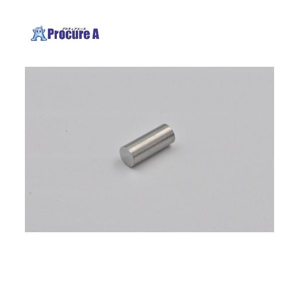 【送料都度見積】●幅(mm)：6●長さ(mm)：60●残留磁束密度（mT)：1230