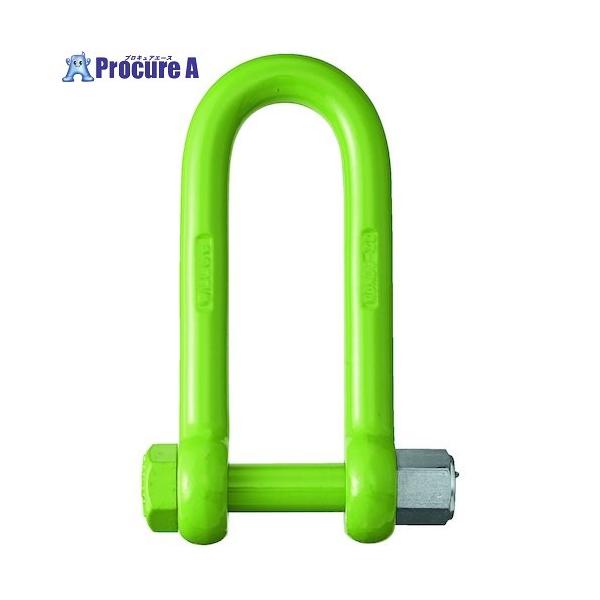 【送料都度見積】●基本使用荷重(t)：6.0●使用荷重(kN)：58.8●ねじ径：M20●B(mm)：50●D(mm)：51●L(mm)：170●d1(ピン径)(mm)：22