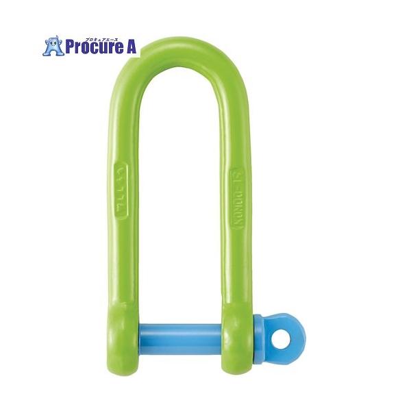 【送料都度見積】●基本使用荷重(t)：4.0●使用荷重(kN)：39.2●ねじ径：W7/8●B(mm)：50●D(mm)：45●L(mm)：160●d1(ピン径)(mm)：20.5
