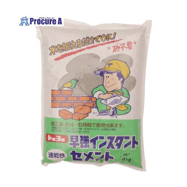 【送料都度見積】●色：灰●容量(kg)：4●硬化時間：4〜6時間●施工面積：45cm×45cm(1cm厚)●可使時間(分)：15