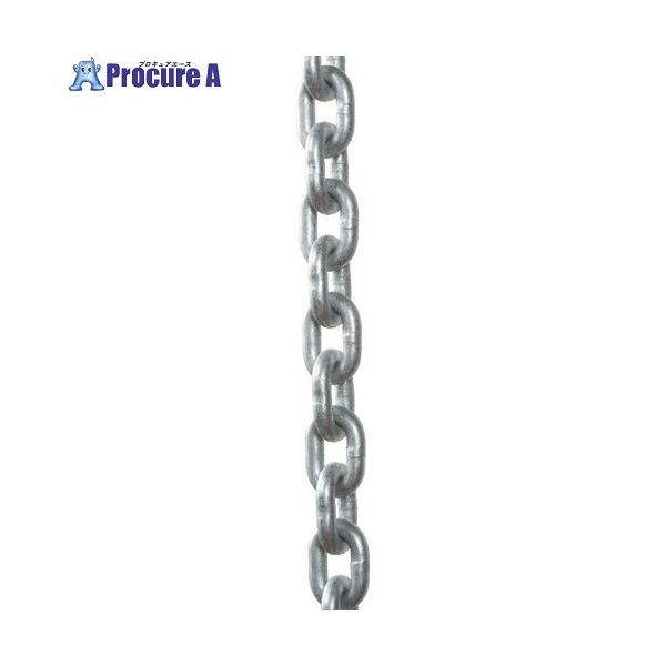 【送料都度見積】●基本使用荷重(t)：1.0●チェーン線径(mm)：6.3●ピッチ(mm)：19●外面幅(mm)：21.0●破断荷重(kN)：50