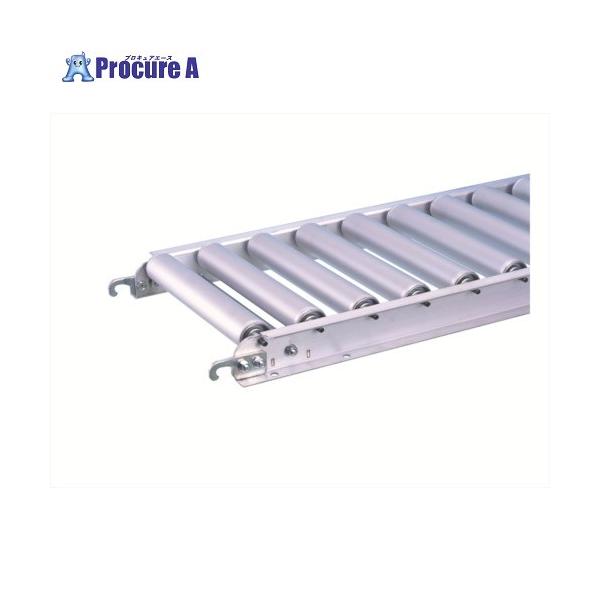 ●ローラー径(mm)：45.7●ローラー幅(mm)：300●ピッチ(mm)：100●機長(mm)：3000●ローラー耐荷重(kg/本)：30●肉厚(mm)：1.5●タイプ：ストレート