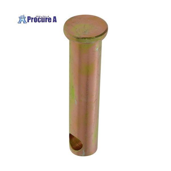 【送料都度見積】●頭部径（mm）：25●頭部高さ（mm）：3●呼び径（mm）：19●首下長さ（mm）108●穴径（mm）：12