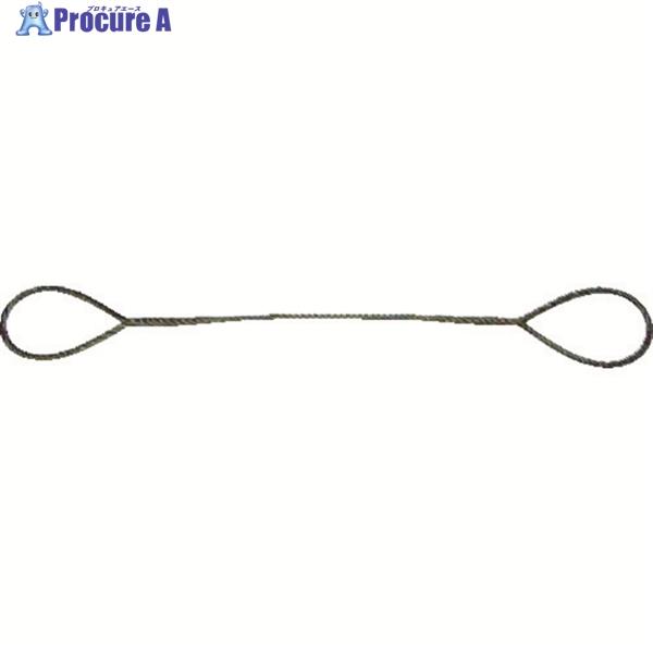 ●安全使用荷重2本垂直吊り(t)：0.6●全長(m)：1.0●スリング径(mm)：6●タイプ：A