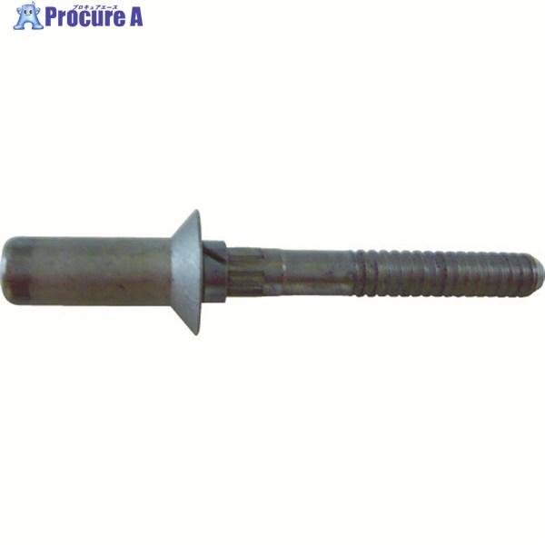 ●引張荷重(N)：1690●かしめ板厚(インチ)：0.219〜0.282●リベット長(インチ)：0.428●フランジ径(インチ)：0.387●リベット径(インチ)：0.198●下穴径(インチ)：0.199〜0.202