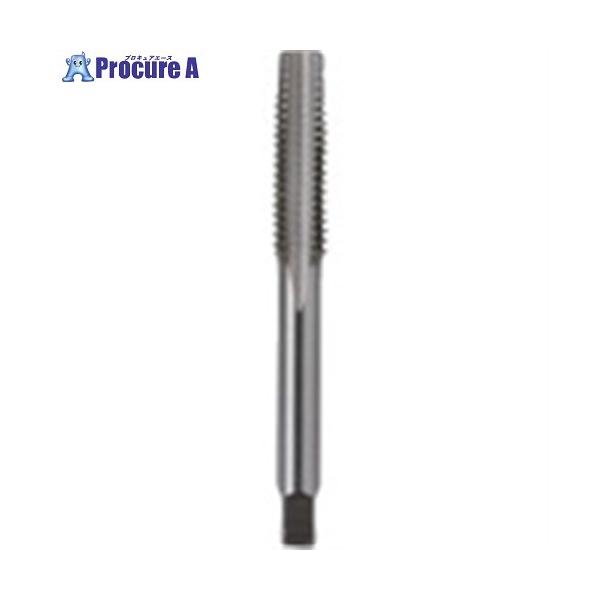 【送料都度見積】●先端：先●呼び寸法：M10●ピッチ(mm)：0.5●全長(mm)：55●シャンク径(mm)：7.0●シャンク四角部(mm)：5.5●下穴径(mm)：9.5●加工ねじ：メートルねじ●先端食付き：9山●ねじ長(mm)：15●食...