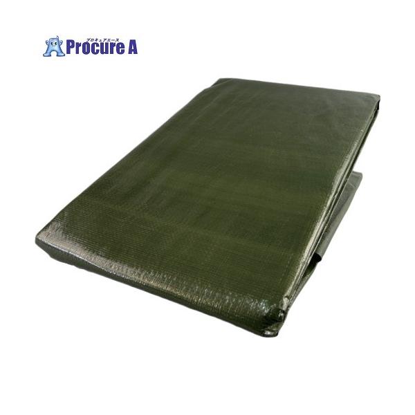 ●色：ODグリーン●幅(m)：2.7●長さ(m)：2.7●厚さ(mm)：0.22●番手(#)：3000●ハトメ数(個)：12●ハトメピッチ(cm)：90●耐久期間：約6ヵ月〜1年●引張強度：縦683N/5cm、横600N/5cm●引裂強度：...