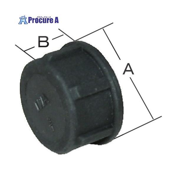 ●最高使用圧力(MPa)：0.6●使用温度範囲(℃)：0〜80●呼び径：15A（1/2）●寸法(mm)A:31●寸法(mm)B:17