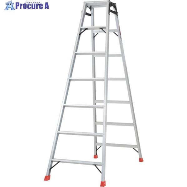 ※車上渡し ●最大使用質量(kg)：100●天板高さ(m)：1.98●はしご全長(m)：4.16●天板寸法(mm)：300×247●踏ざん踏面幅(mm)：55●Aマーク：Aマーク認定品●SGマーク：SGマーク認定品
