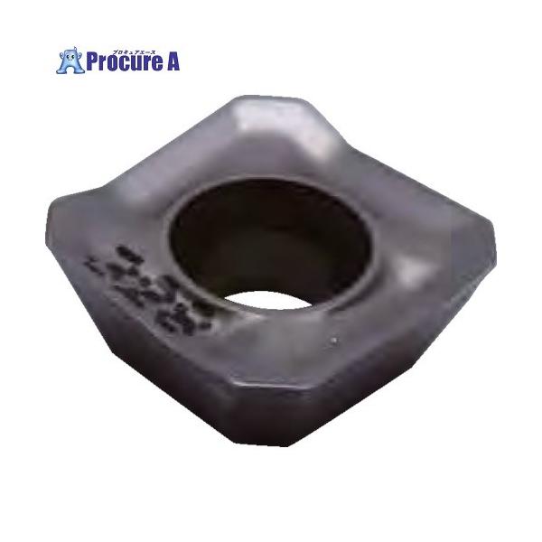 【送料都度見積】