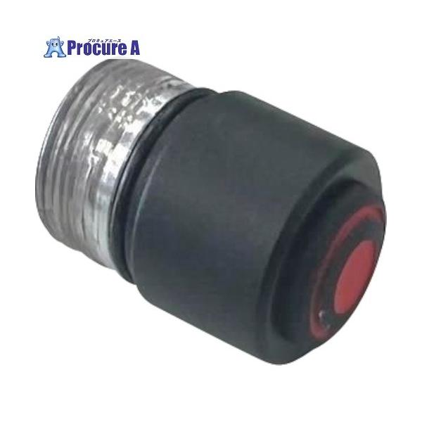 ●品名：P2Rcore、P4Rcoreのテールキャップ●適合機種：P2R Core、P4R Core