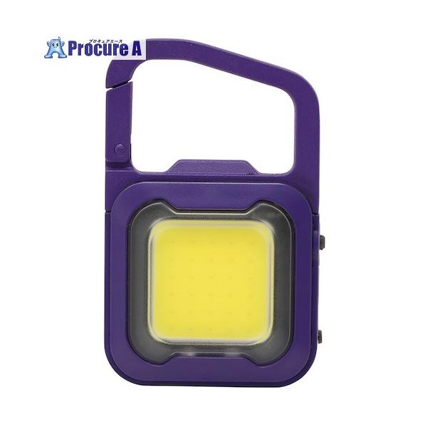 ●明るさ(lm)：600(強)、350(中)、100(弱)●幅(mm)：45●奥行(mm)：24●高さ(mm)：72●使用電池：リチウムイオン電池3.7V／500mAh●最大点灯時間(h)：5●充電時間(時間)：2●消費電力(W)：6●色：...