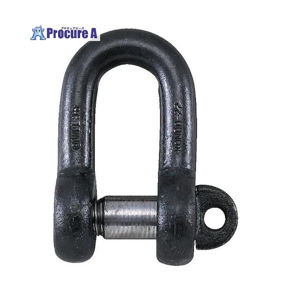 【送料都度見積】●基本使用荷重(t)：1.6●使用荷重(kN)：15.68●ねじ径：M18mm●B(mm)：26●B(口幅)(mm)：26●D(頭径)(mm)：40●L(長さ)(mm)：64●d1(穴径)(mm)：20●ピン径(mm)：19