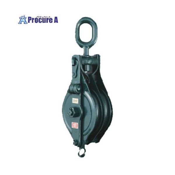 【送料都度見積】●基本使用荷重(t)：0.75●最大使用ロープ径(mm)：12●車数：2●車径(mm)：100 4●最大ロープ径(mm)：12●ピン径(mm)：16●全長(mm)：331●横幅(mm)：114●厚さ(mm)：102●重量(k...