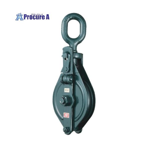 【送料都度見積】●基本使用荷重(t)：0.5●最大使用ロープ径(mm)：10●車数：1●車径(mm)：75 3●最大ロープ径(mm)：10●ピン径(mm)：13●全長(mm)：240●横幅(mm)：76●厚さ(mm)：53●重量(kg)：1.2