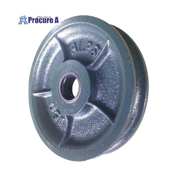 【送料都度見積】●最大使用ロープ径(mm)：10●車径(mm)：75 3●最大ロープ径(mm)：10●Aボス幅(mm)：21●B外径幅(mm)：19●C溝半径(mm)：5●D外径(mm)：75●Eピン径(mm)1〜2車：13●Fボス径(mm...