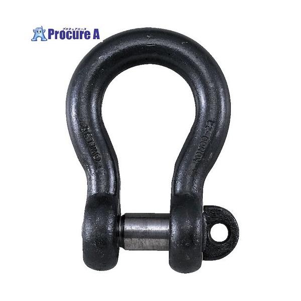 【送料都度見積】●基本使用荷重(t)：9●使用荷重(kN)：88.2●B(mm)：57●d(本体径)(mm)：44●B(口幅)(mm)：57●B1(内径)(mm)：110●D(頭径)(mm)：95●L(長さ)(mm)：198●d1(穴径)(...