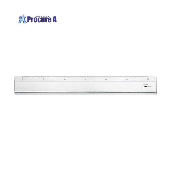 【送料都度見積】●幅(mm)：340●奥行(mm)：45●目盛：30cm●高さ(mm)：5