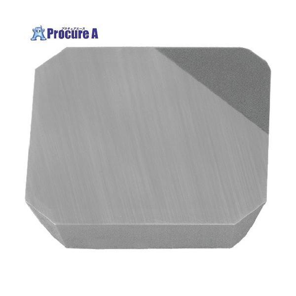 【代引決済不可】【送料都度見積】  ●適合ホルダ：MSE45型●呈色：輝灰色●E級●ノンコート●ワイパーチップ