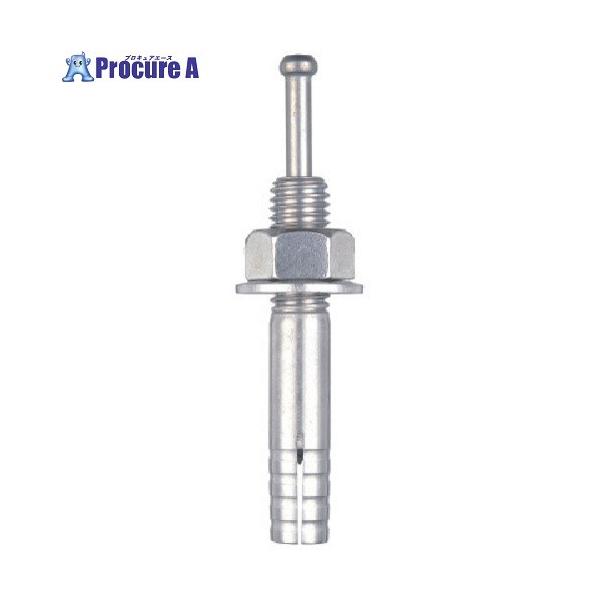 【送料都度見積】●ねじの呼び：M12●埋込深さ(mm)：50●引張最大荷重(kN)：17.1●全長(mm)：70●ねじ長さ(mm)：25●最大取付物厚さ(mm)：6●下穴径(mm)：12.7●穿孔深さ(mm)：62以上●ドリル径(mm)：12.7