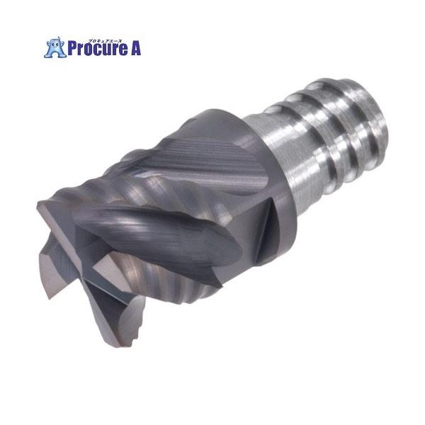 【送料都度見積】●切削径DC(mm)：10●最大切削径DCX(mm)：10●機能長さLF(mm)：13●全長OAL(mm)：19.65●最大切込みAPMX(mm)：7●全長OAL(mm)：19.65●機能長さLF(mm)：13●勝手HAND...