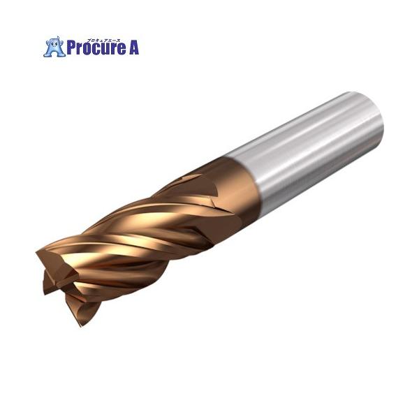 【送料都度見積】