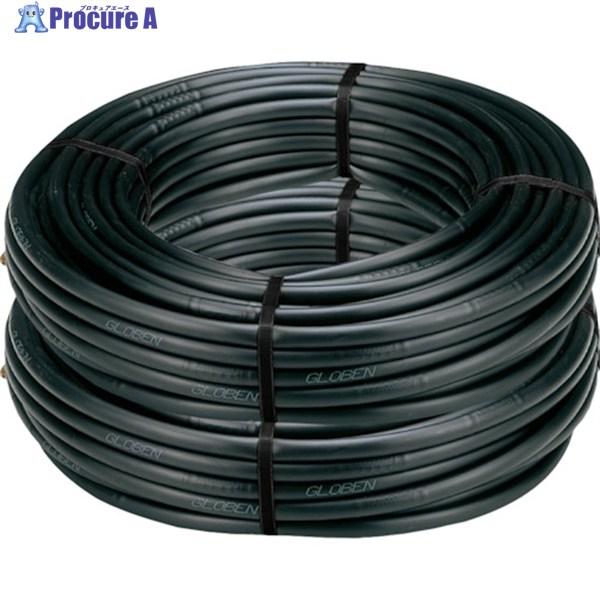 ●最大使用可能水圧(MPa)：0.4●最大対応距離(m)：330●最適使用圧力(kPa)：300●高さ(mm)：16●流量調整付エミッター(吐出口)ピッチ：500●タイプ：点滴チューブ●チューブ長さ(m)：100●適合ホース内径×外径(mm...