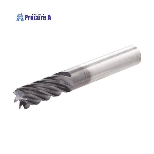 【送料都度見積】