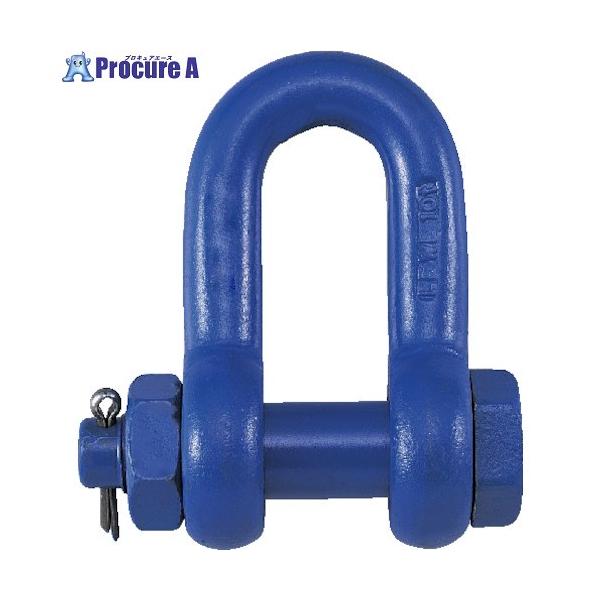 【送料都度見積】●基本使用荷重(t)：5●使用荷重(kN)：49●ねじ径：M20●B(mm)：29●D(mm)：45●L(mm)：95●L1(mm)：72●d(mm)：18●呼び(t)：18●a(mm)：21●B1(mm)：53●d1(mm...