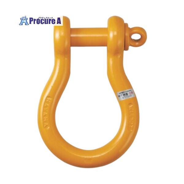 【送料都度見積】●基本使用荷重(t)：10●ねじ径：M36●B(mm)：65●D(mm)：80●L2(mm)：210●d(mm)：36●t(mm)：30●呼び（使用荷重tf）：10　●R（内半径）（ｍｍ）：60　●ボルト径d3（ｍｍ）：36