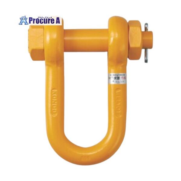 【送料都度見積】●基本使用荷重(t)：5●ねじ径：M24●B(mm)：44●D(mm)：55●L1(mm)：120●d(mm)：22●t(mm)：22●呼び（使用荷重tf）：5　●ボルト径d3（ｍｍ）：26