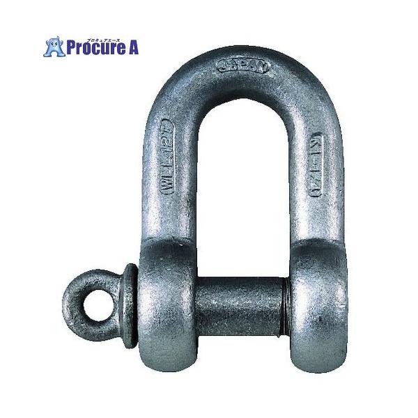 【送料都度見積】●使用荷重(kN)：31.85●B(mm)：27●D(mm)：40●L1(mm)：51●L2(mm)：61●呼び：5/8　●d（ｔ）（ｍｍ）：16　●d1（ｍｍ）：19　●B1（ｍｍ）：43　