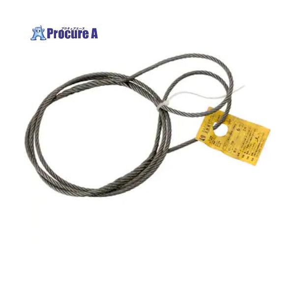 【送料都度見積】●全長(m)：6●スリング径(mm)：16●破断荷重（kn）：126.4　●アイ寸法（ｍｍ）：280x140　●使用荷重（垂直2本2点吊）（kn）：42